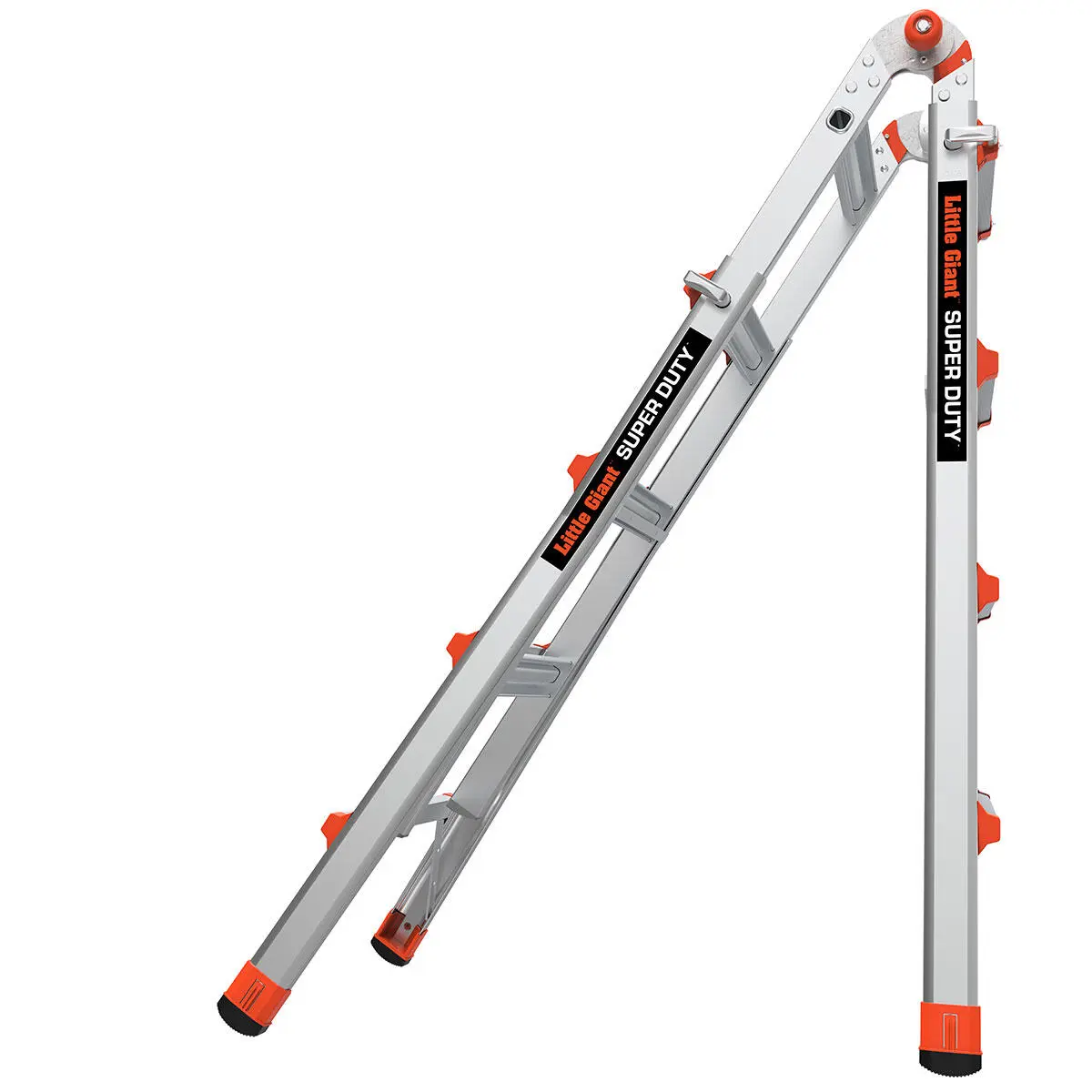 Little Giant Ladder System | Shop Darley