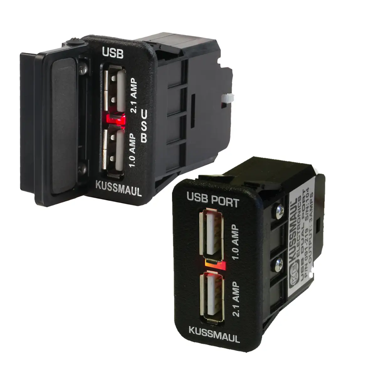 USB Dual Port - 4.8 | Shop Darley