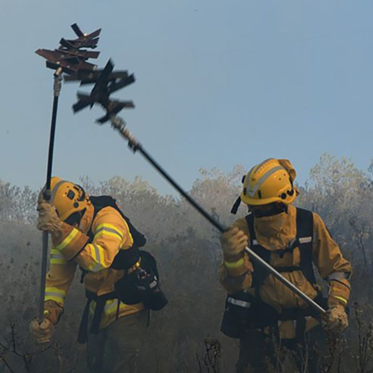 Fire Swatter Alaska | Shop Darley