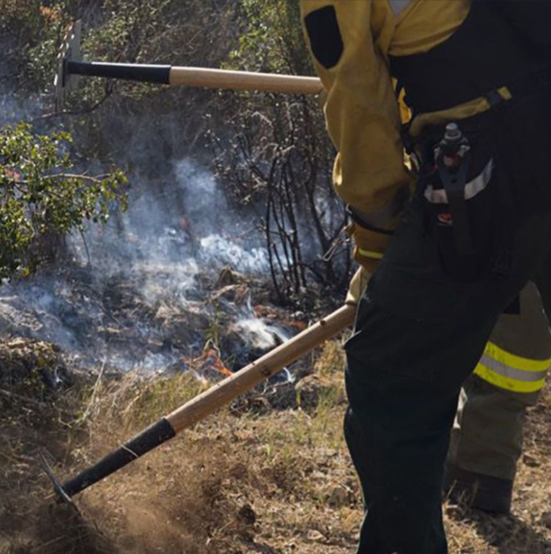 Gorgui Classic Tool | Shop Darley