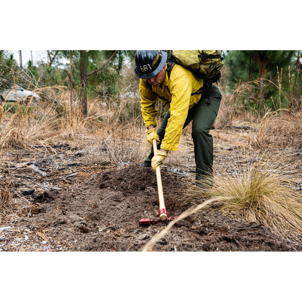 Forest Fire Rake | Shop Darley