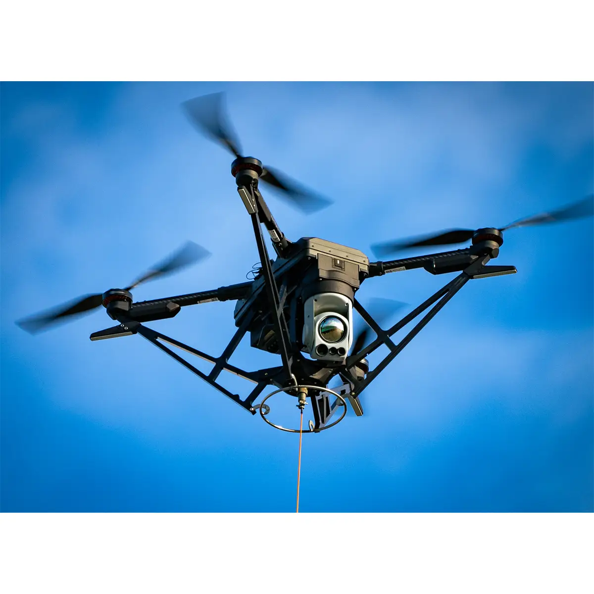 Spectre | Shop Darley