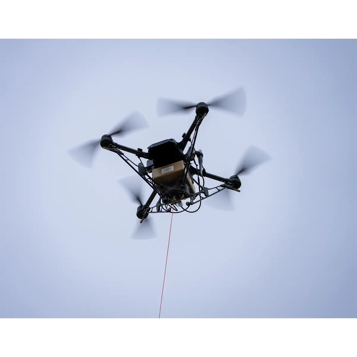 Spectre | Shop Darley