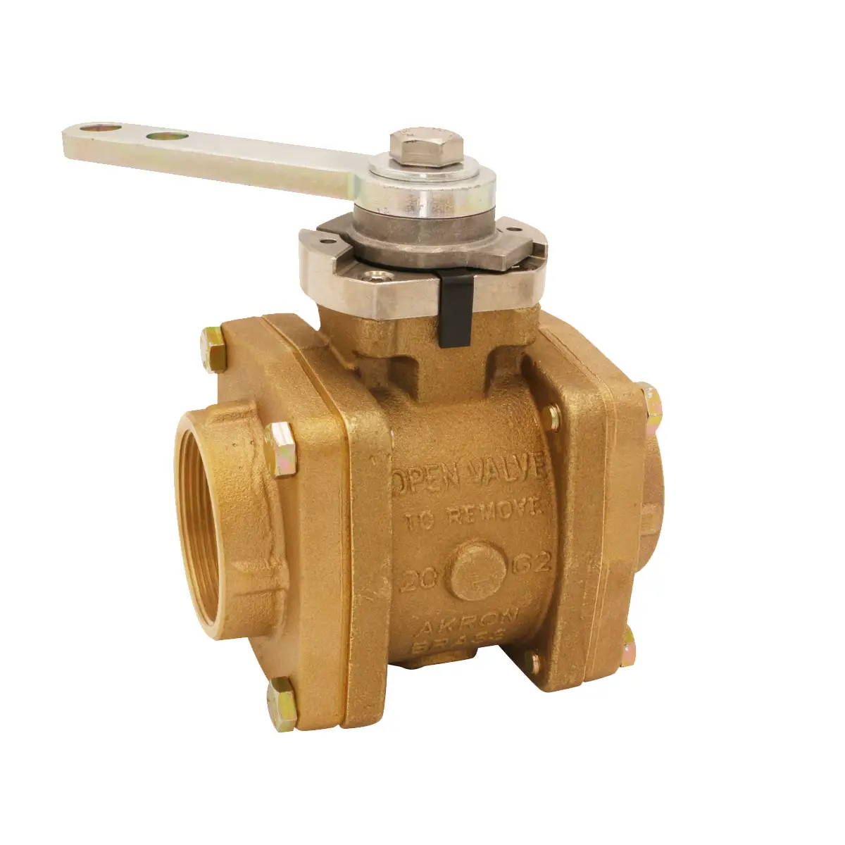 Akron Swing-Out™ Valve with stainless steel ball, Female NPT adapters ...