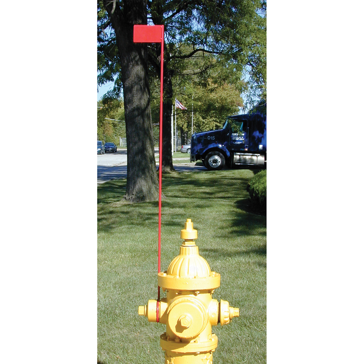 Hydrant Flag | Shop Darley