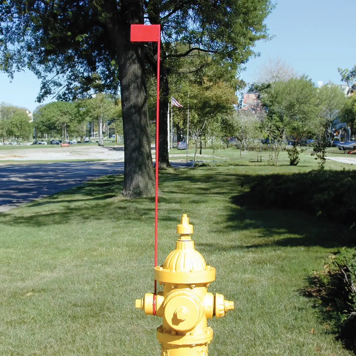 Fire Hydrant Flag | Shop Darley