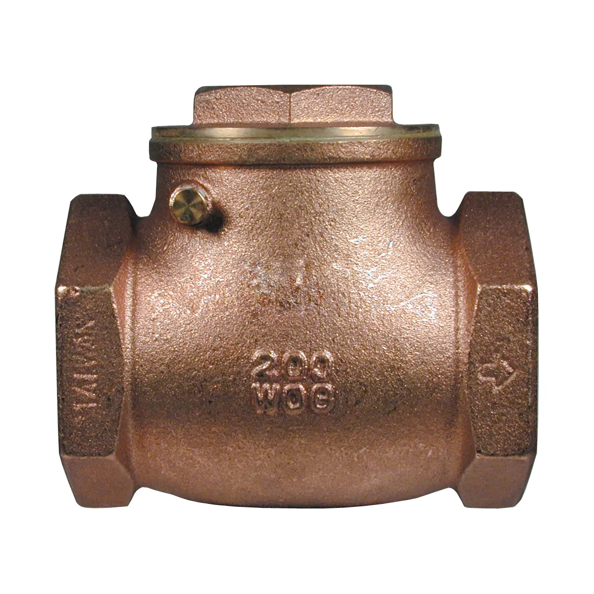 Swing Check Valve - 2-1/2" | Shop Darley