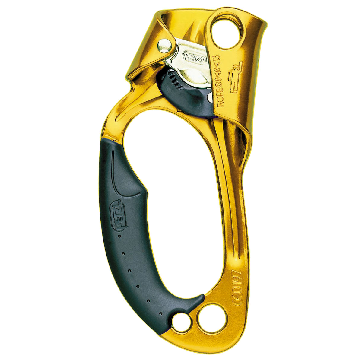 Ascension Ascender - Right | Shop Darley