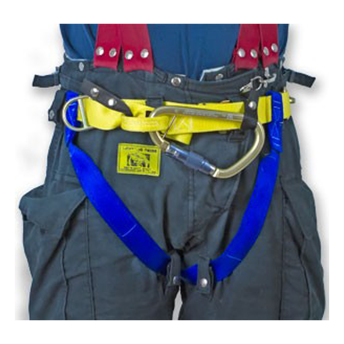 Harnesses | Shop Darley