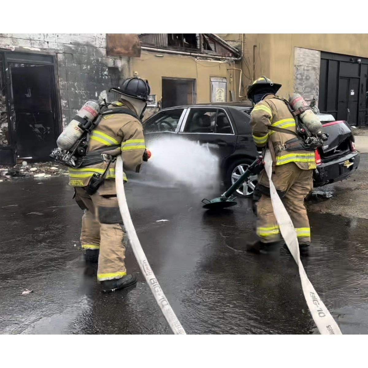 The Turtle Fire System | Shop Darley